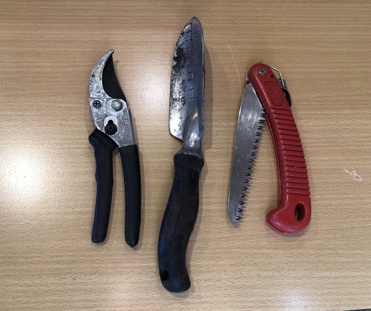 Dakota Gardener: Clean and disinfect your garden tools for next year ...