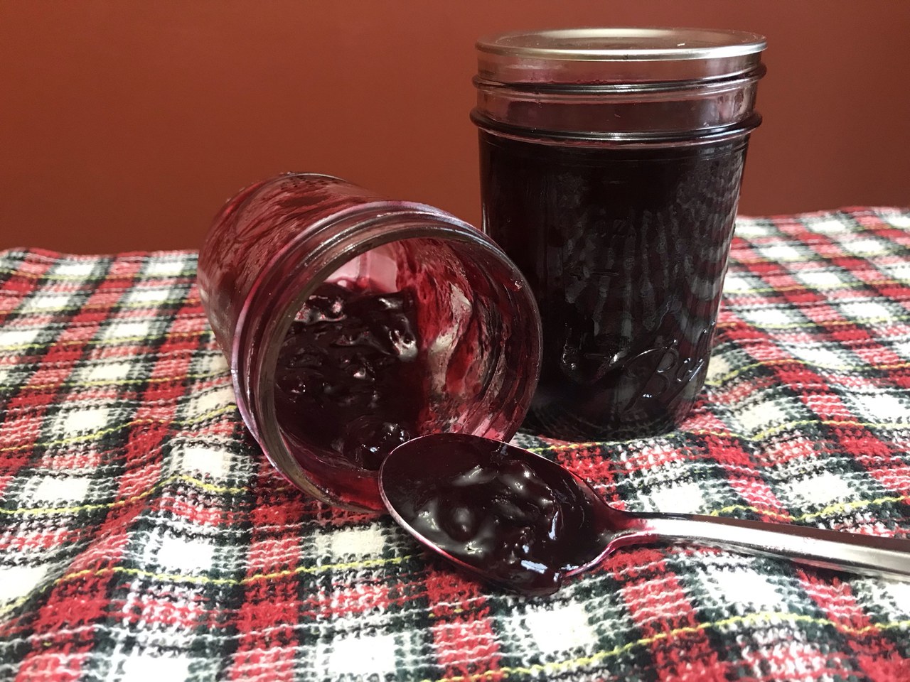 Dakota Gardener: Fruit for Thought — Extension and Ag Research News