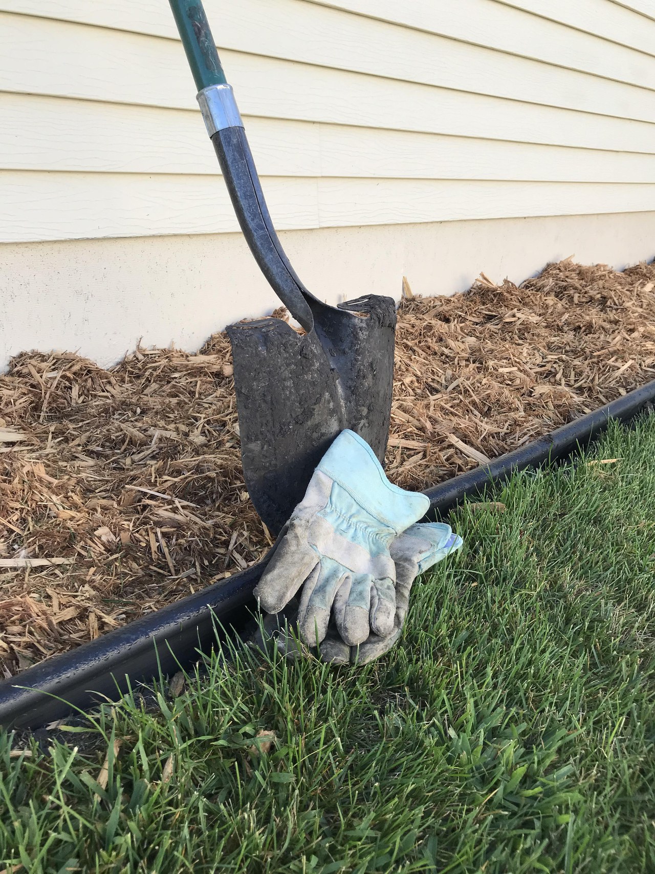 Dakota Gardener: The Right Plant — Extension and Ag Research News