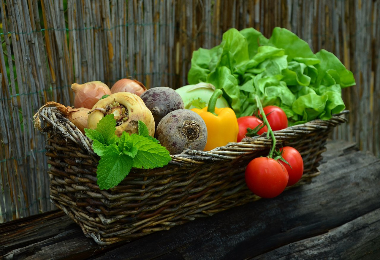 Prairie Fare: What you eat may affect your vision — Extension and Ag ...