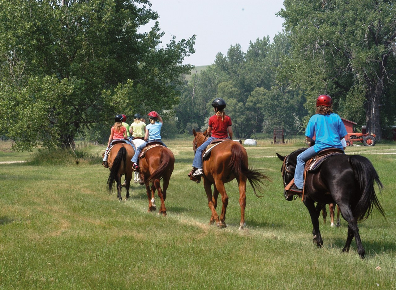 Western 4-H Camp Not Just for 4-H Members — Extension and Ag Research News