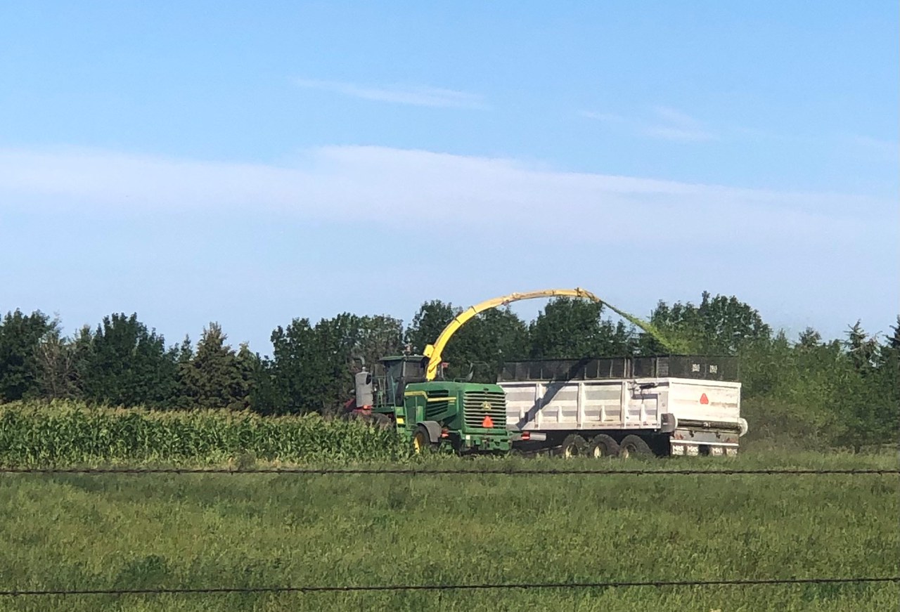 Moisture Matters When Making Good Corn Silage — Extension and Ag ...