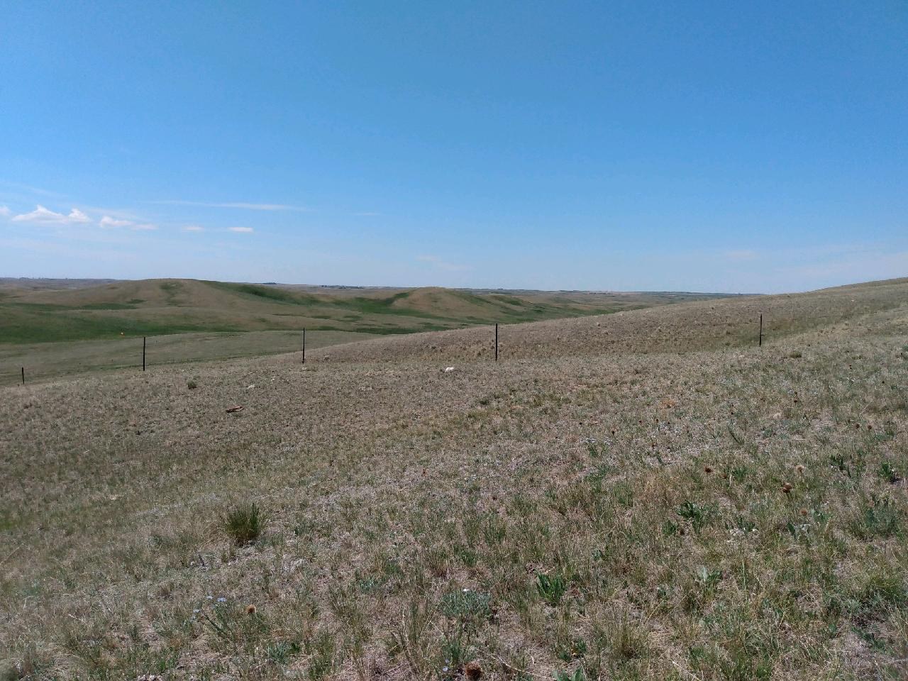 Drought Creating Forage Shortage — Extension and Ag Research News