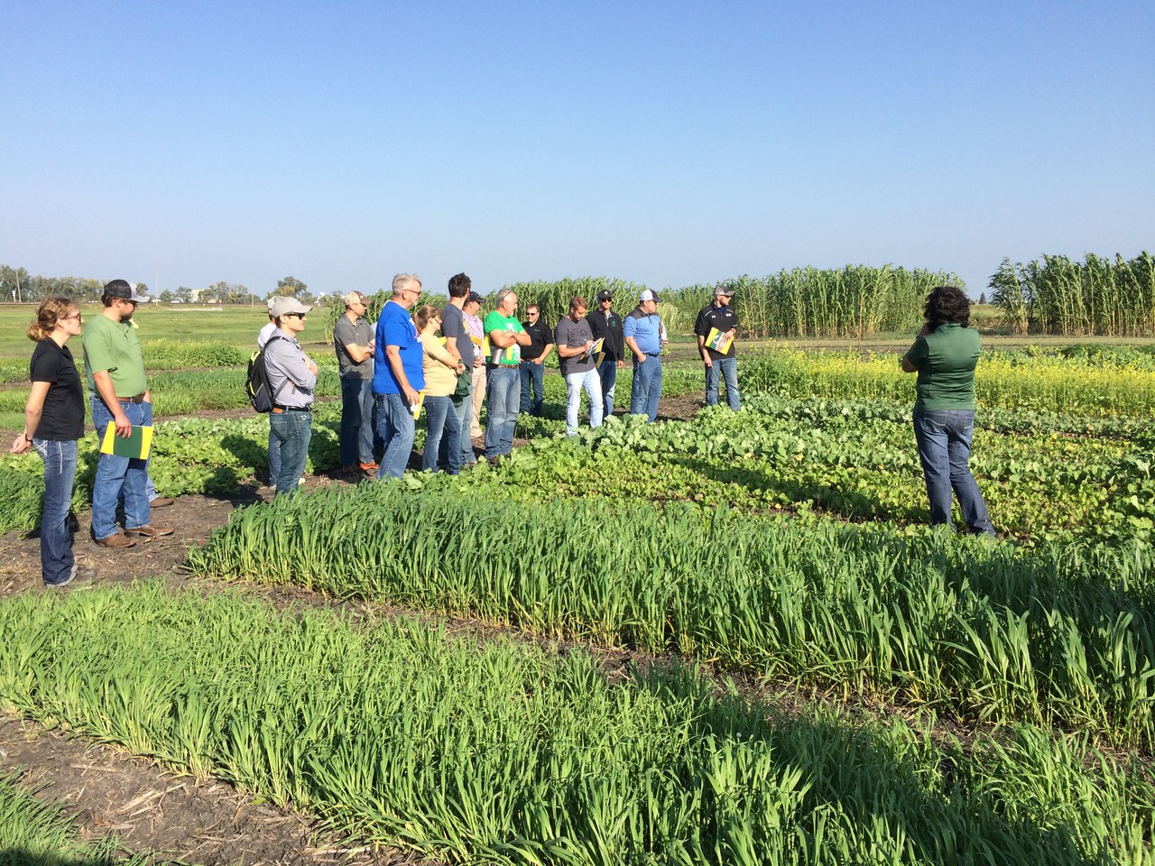 NDSU sets cover crops, intercropping and soil health field day ...