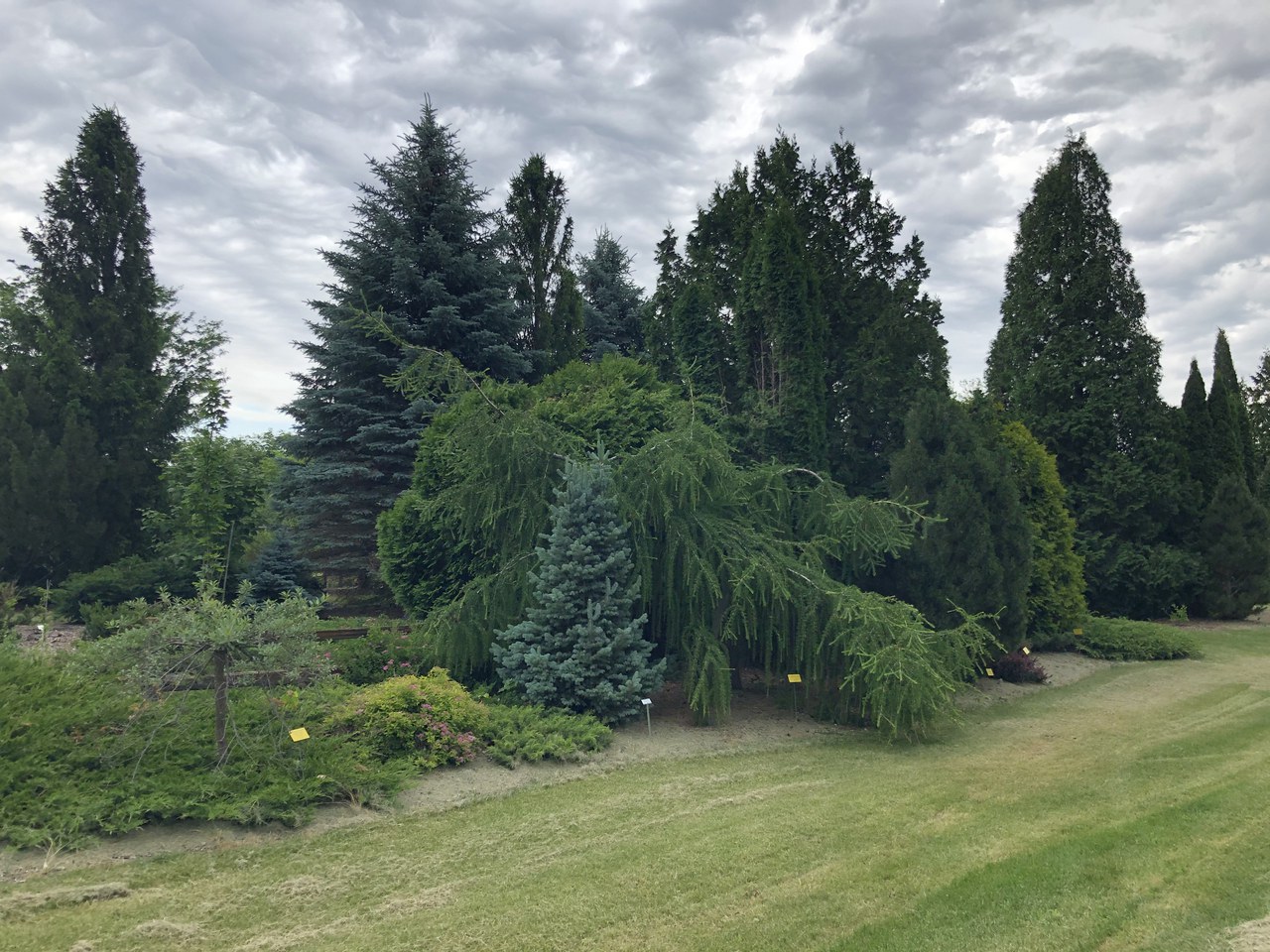 NDSU Plant Sciences opens registration for arboretum event — Extension ...
