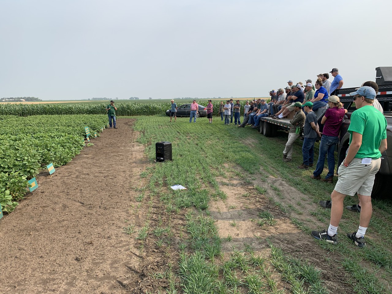 Agronomy tours highlight Carrington Research Extension Center field day ...