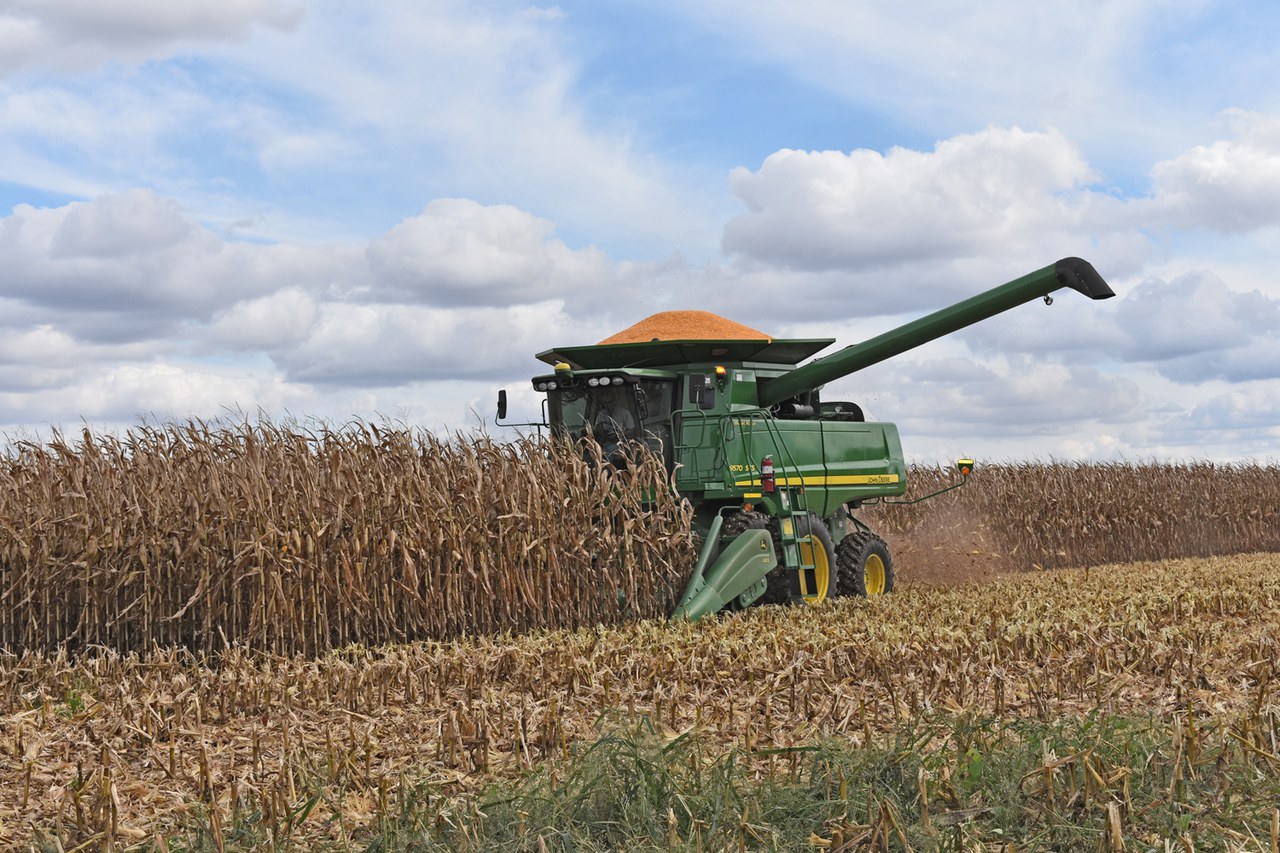 NDSU provides guidance for North Dakota corn harvest and drying ...