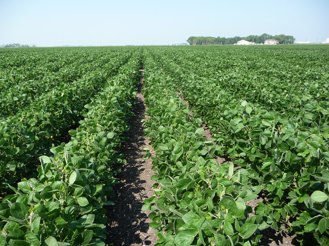 NDSU Extension offers updated Crop Compare program for 2024 — Extension ...
