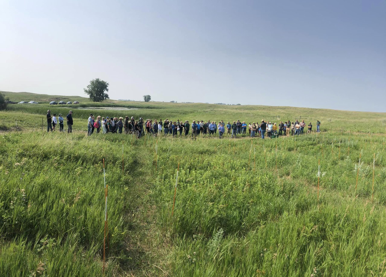 NDSU Central Grasslands Research Extension Center Field Day set for ...