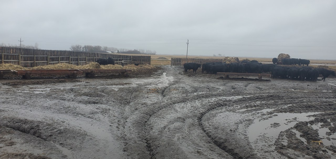 Beware of mud season — Extension and Ag Research News